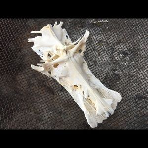 Other | Fish Bone Crucifix | Poshmark
